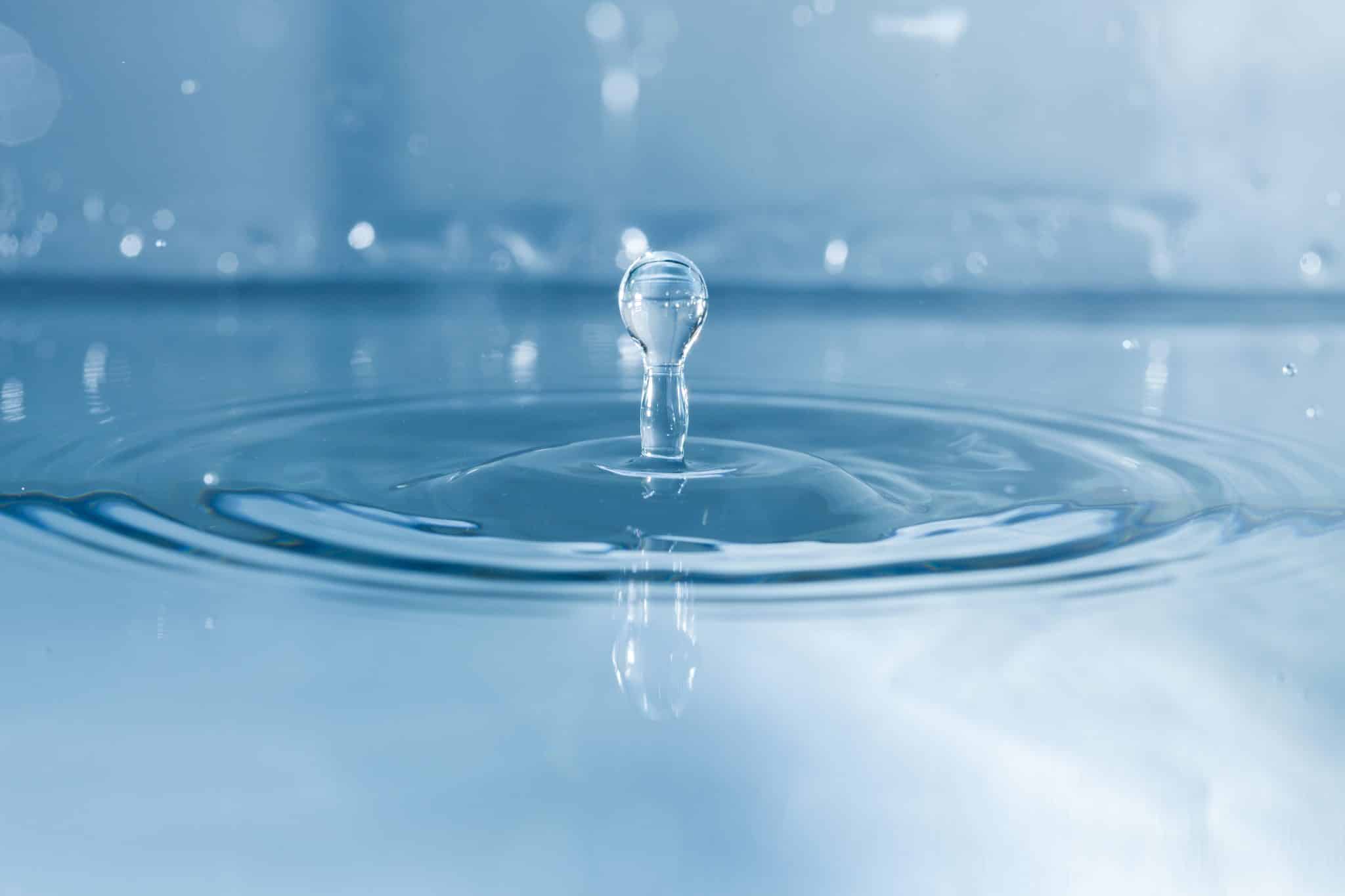 All You Need to Know About Sump Pumps