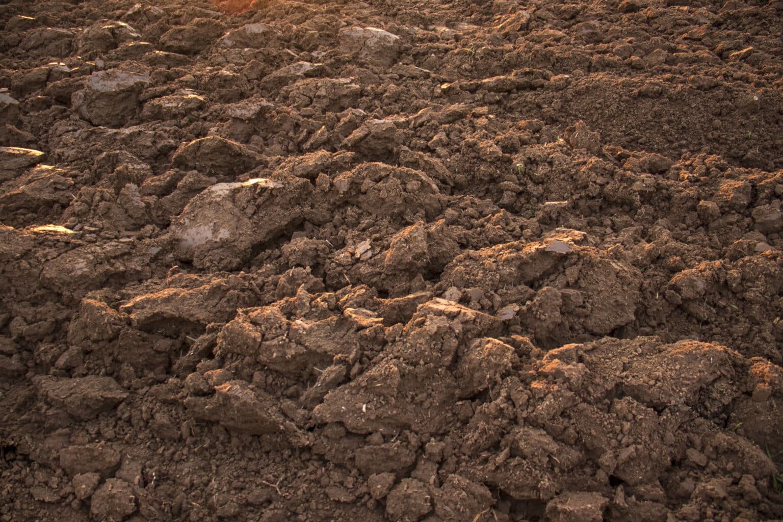 Best Soil Types for Grading Around Your Home