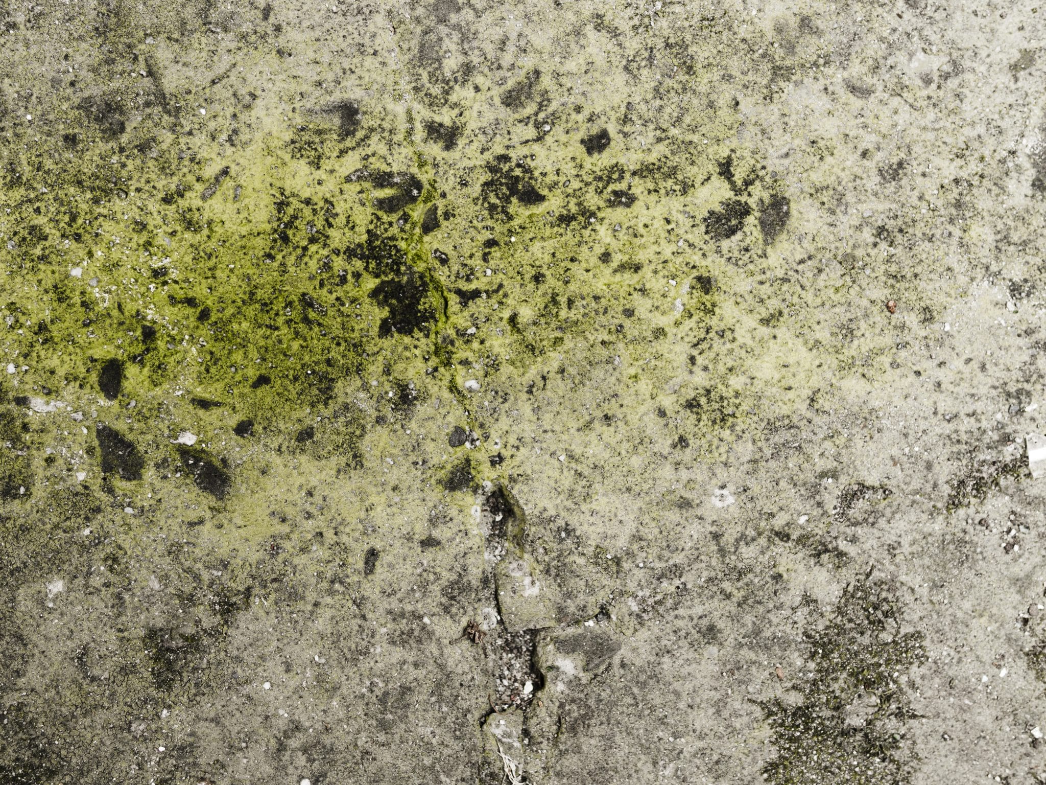 Fixing Foundation Leaks from Inside: Step-by-Step Solutions