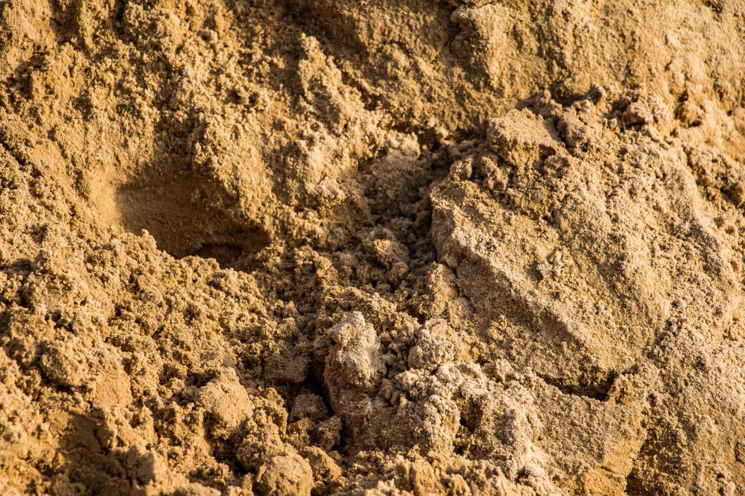 Best Soil Types for Grading Around Your Home