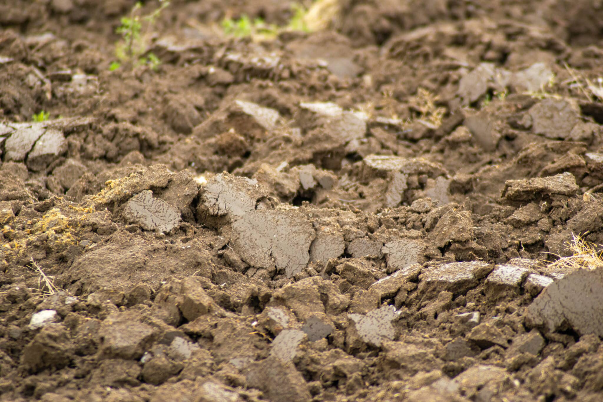 Best Soil Types for Grading Around Your Home