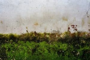 Weeping Tile Installation Guide for Better Drainage